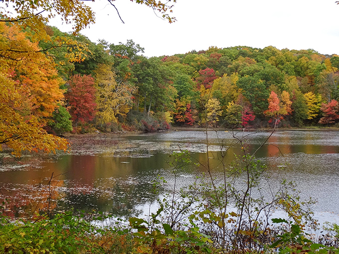 Fall foliage reflected in still waters creates nature's perfect mirror image. Even the trees can't help admiring themselves during autumn's fashion show.