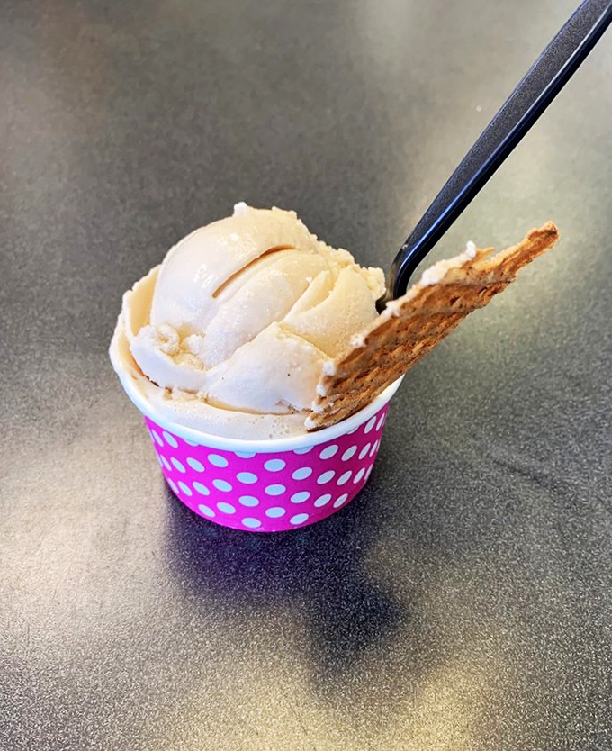 Simple vanilla in a polka dot cup with a homemade cookie—proof that sometimes the classics need no improvement.
