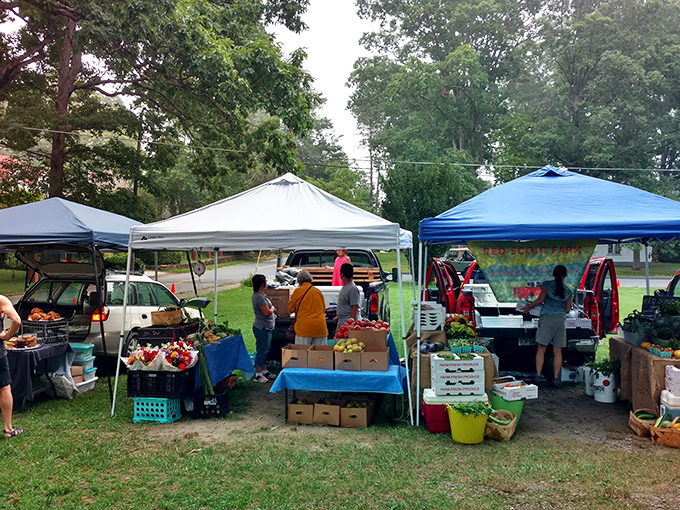 At Black Mountain's farmers market, vegetables aren't just fresh&mdash;they're often picked that morning by the same folks handing them to you across the table.