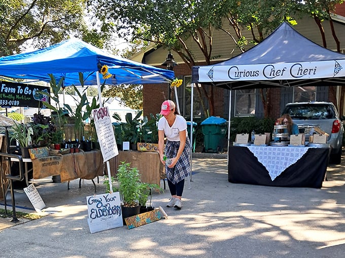 Local musicians turn ordinary afternoons into impromptu concerts, proving Ocean Springs' soundtrack is as vibrant as its visual arts.