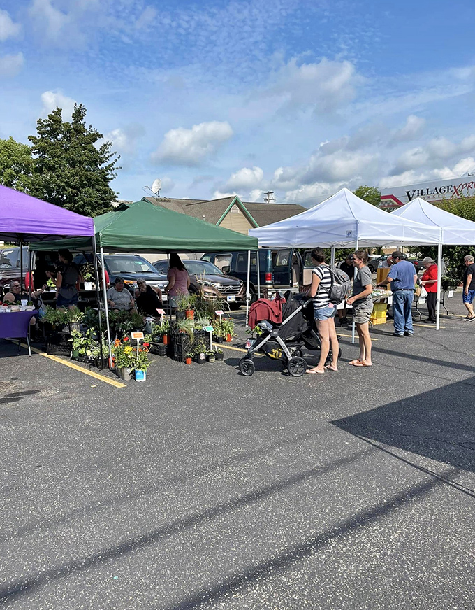 The farmers market buzzes with locals hunting for the perfect tomato with the determination of truffle pigs in the forests of Piedmont.