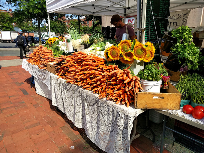Farmers market bounty showcases local agriculture where carrots still taste like carrots and conversations with farmers come free with every purchase.