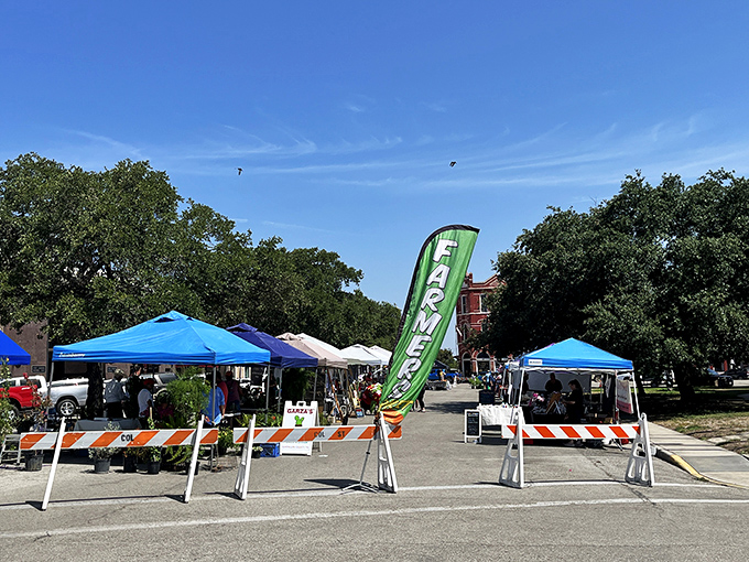 Lockhart's farmers market proves there's more to this town than meat. Though let's be honest, those vegetables are destined to become sides.
