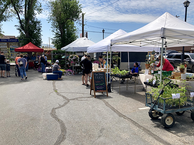 Elko's farmers market proves that even in the high desert, community and fresh produce flourish&mdash;just bring your own shade on those sunny Nevada mornings.