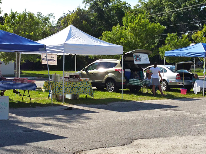 Farmers markets in Beaufort connect you directly to the source of those incredible flavors you've been enjoying all weekend.