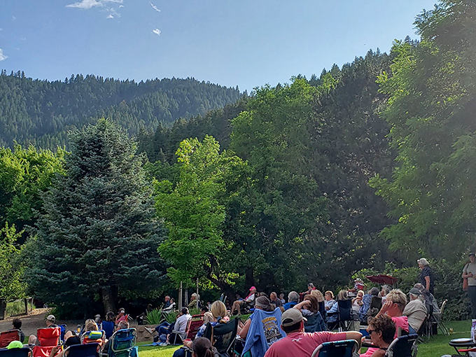 Locals and visitors gather for outdoor concerts under the pines, where music mingles with mountain breezes for Nevada's most natural amphitheater experience.