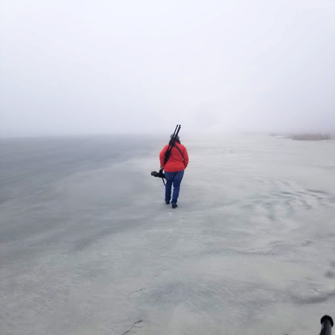 Morning fog drapes the beach in mystery, transforming an ordinary walk into a journey through clouds.