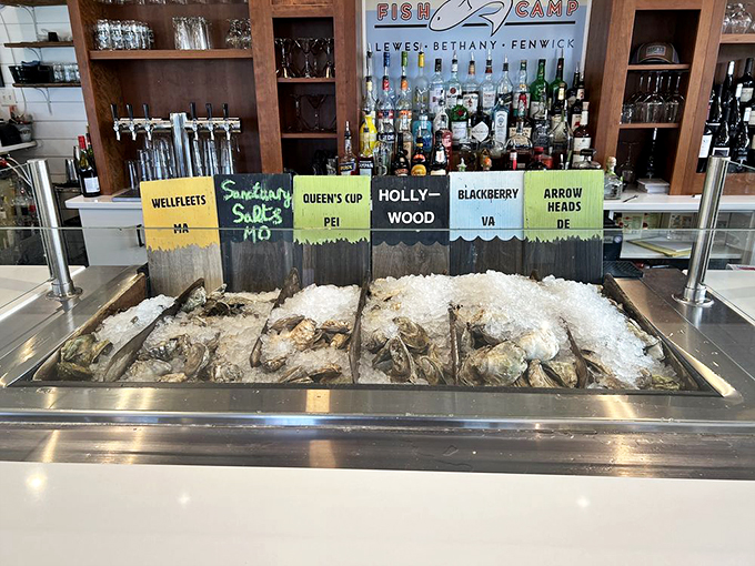 An oyster display that's basically seafood show-and-tell for grown-ups, with each variety labeled like the precious regional treasures they are.