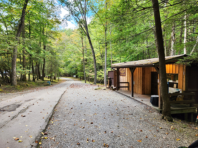 The road less traveled leads to cabins like these &ndash; rustic on the outside, but promising shelter and stories within those wooden walls.