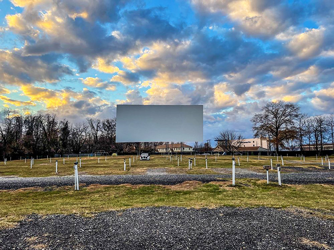 Empty during daylight, this field transforms nightly into a community living room where strangers share laughter, gasps, and the magic of movies.