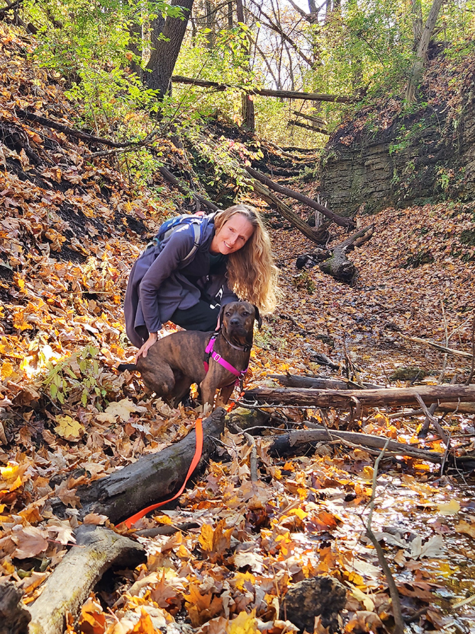 The perfect hiking companion doesn't complain about the trail difficulty or ask "are we there yet?"&mdash;they just wag their tail in pure joy.