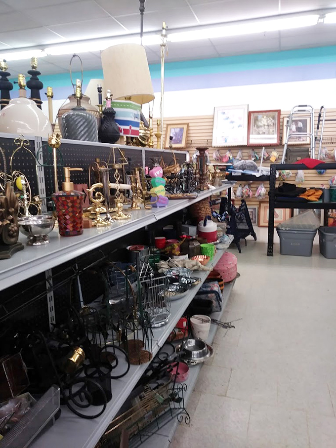 Lamps, frames, and knickknacks galore! The place where "I didn't know I needed that" happens at least five times per visit.