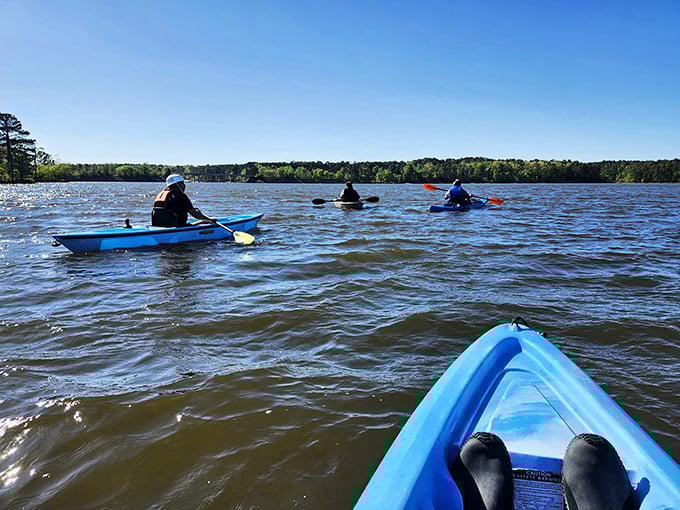 Kayaking Jordan Lake&mdash;social distancing before it was trendy, with views you can't get from any Zoom background.