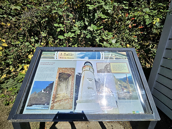 "A Battle With the Elements" understates things a bit. This lighthouse has weathered storms that would make even seasoned mariners reach for the Dramamine.