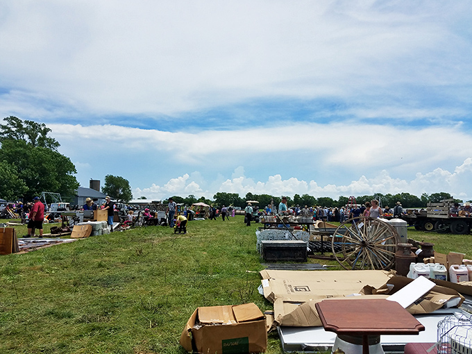 The outdoor market transforms an ordinary field into a treasure hunt where one person's castoff becomes another's conversation piece.