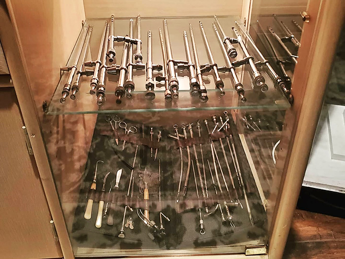 Victorian physicians would recognize these gleaming metal instruments immediately—artifacts from medicine's developmental years that now fascinate rather than intimidate.