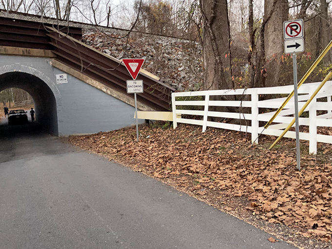 Signs of civilization offer cold comfort. The white fence and traffic warnings feel like thin protection against centuries-old legends.