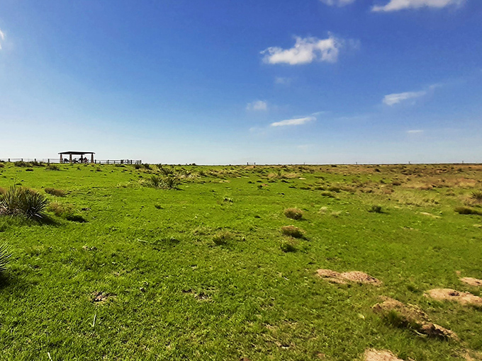 Spring brings a carpet of green to the park's entrance area, a refreshing contrast to the rugged chalk formations waiting just beyond.