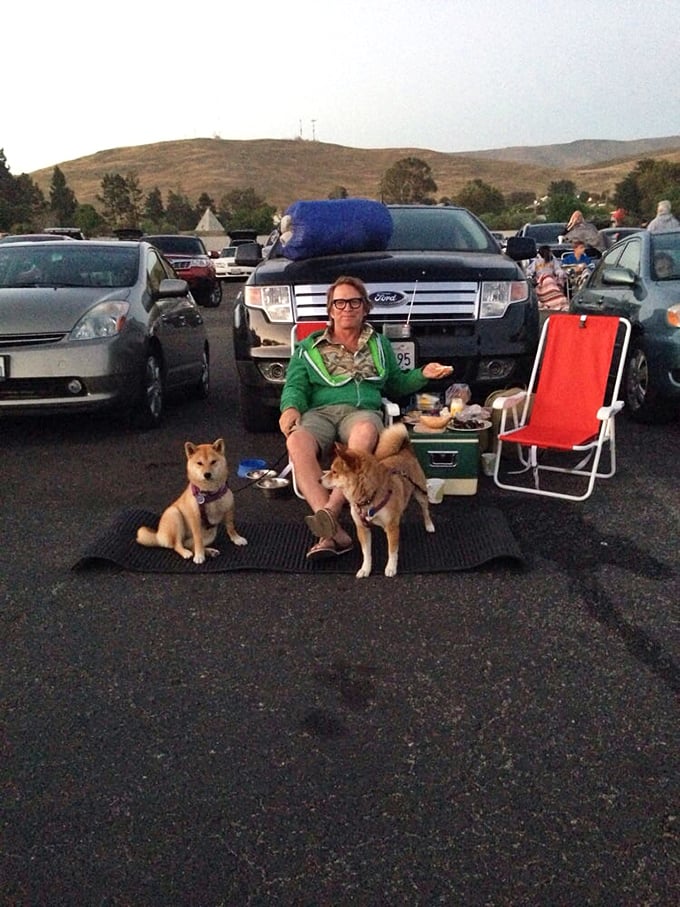 The ultimate movie companion setup&mdash;two dogs, a cooler of snacks, and the kind of outdoor living room that makes apartment dwellers jealous.