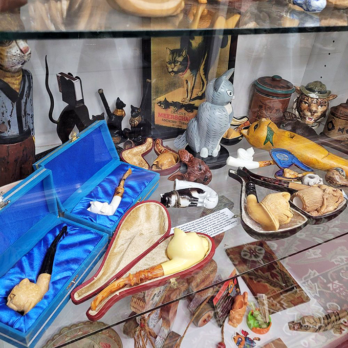 This bewildering collection of cat-shaped pipes and mysterious artifacts proves that cat-themed collectibles know no rational boundaries.