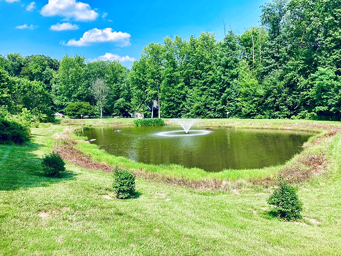 A tranquil pond that offers respite from ghost hunting, with a fountain that seems to whisper, "Yes, we have modern amenities too!" Peaceful enough to forget the mansion's spooky reputation.