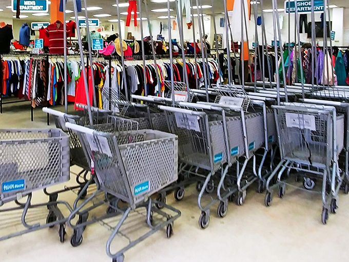 The humble chariots of thrift store victory, these carts have witnessed countless "Eureka!" moments and carried home more treasures than a pirate ship.
