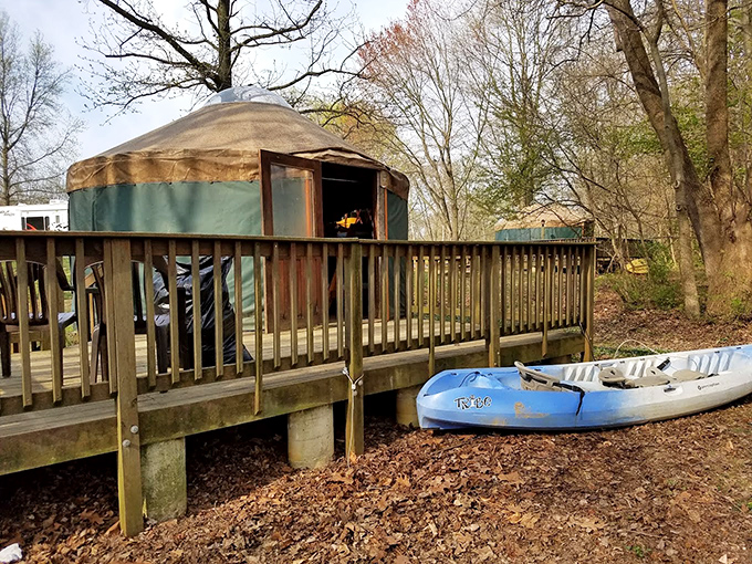 Glamping goes circular! These yurts offer the perfect compromise for couples when one loves camping and the other loves, well, walls.