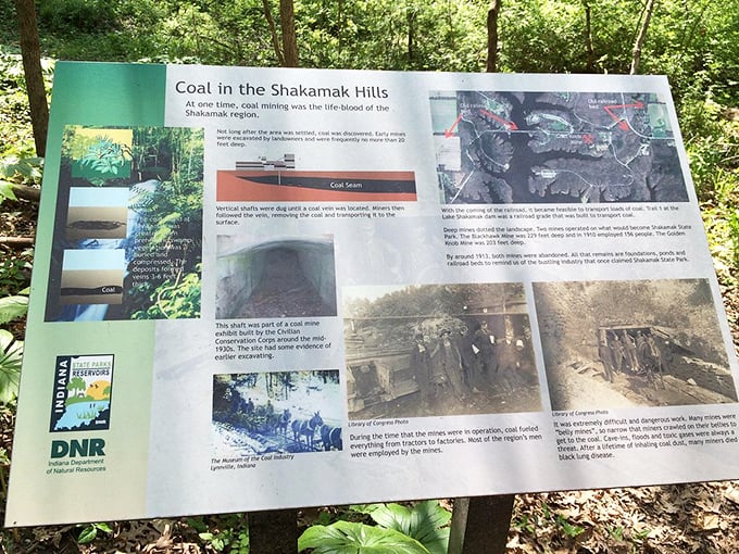 History etched in earth and stone. Shakamak's coal mining past reminds us that today's pristine paradise once powered a different kind of progress.