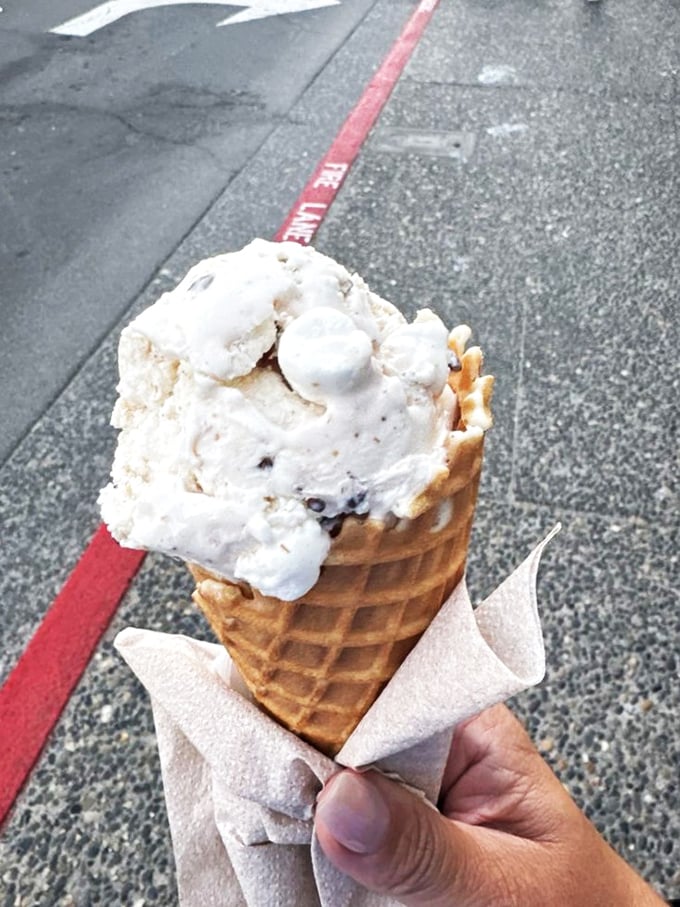 The sea lion mural tells the whole story: even local wildlife can't resist Zingers. This wall art captures Seaside's playful coastal spirit perfectly. 