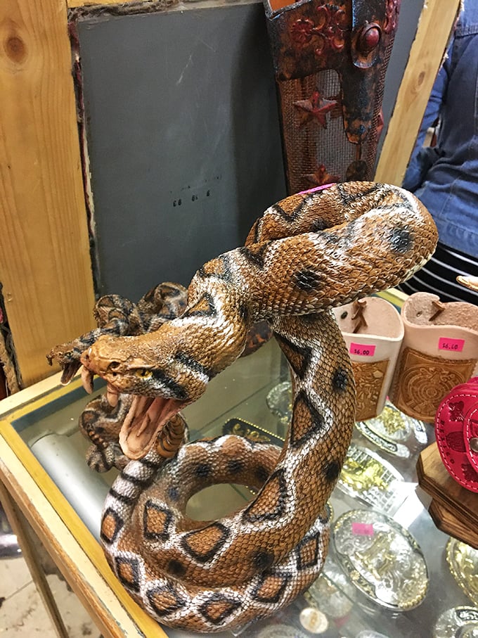 This taxidermied snake makes a compelling case for why some collectibles should remain behind glass. Conversation starter or nightmare fuel? You decide.