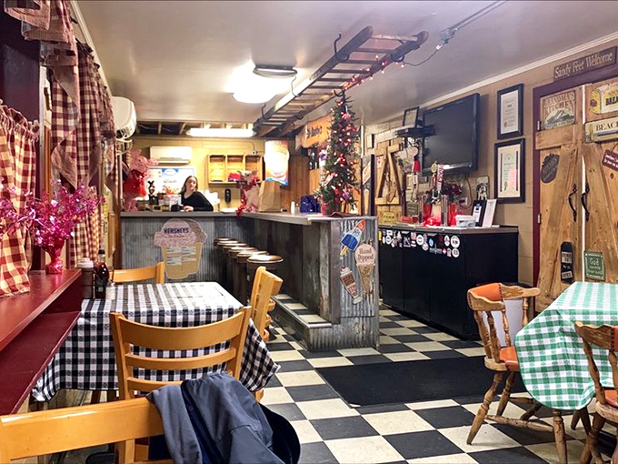 The counter area has that lived-in charm that says, "We've been perfecting these recipes while fancy restaurants come and go."