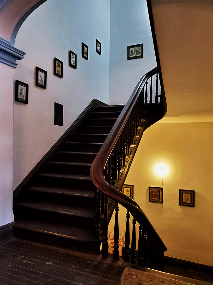 The "Tranquilizing Chair" display reveals psychiatric treatment's unsettling past. Dr. Rush believed restraint and reduced blood flow to the brain would calm agitated patients