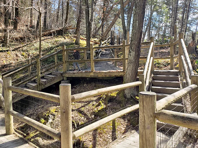 This wooden bridge wouldn't look out of place in a fantasy film. The thoughtful construction guides visitors while protecting the delicate ecosystem below. 