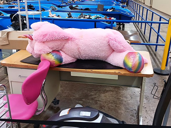 Even unicorns need new homes. This pink plush fellow is just waiting for the right person to rescue him from his desk-bound purgatory.