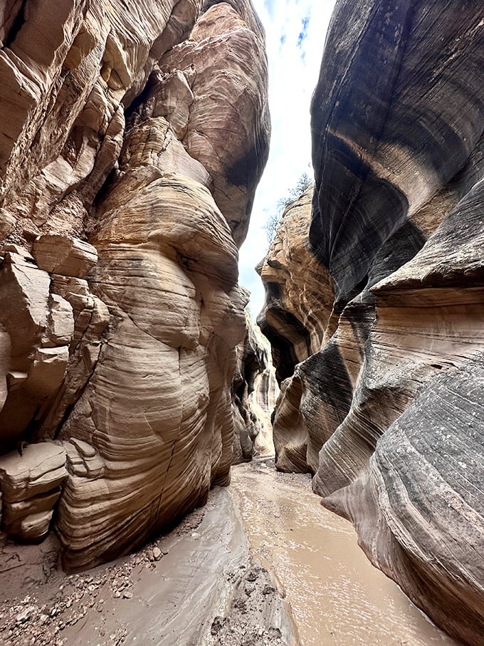Walking between these towering slot canyon walls feels like entering nature's cathedral &ndash; just with better lighting and no dress code.