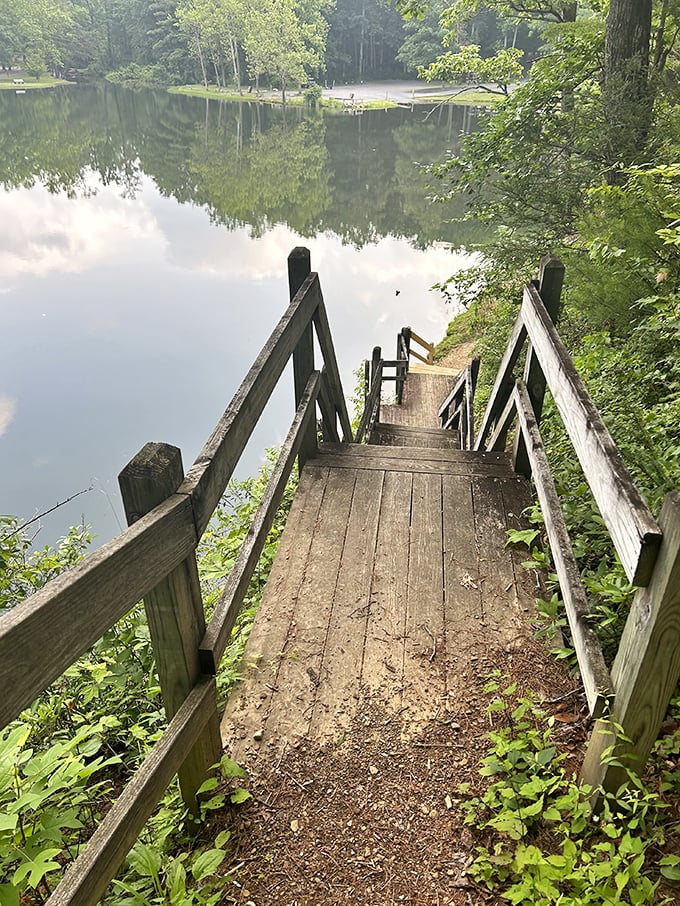 Stairway to serenity: these wooden steps lead to the kind of peaceful water view that no spa treatment can replicate.