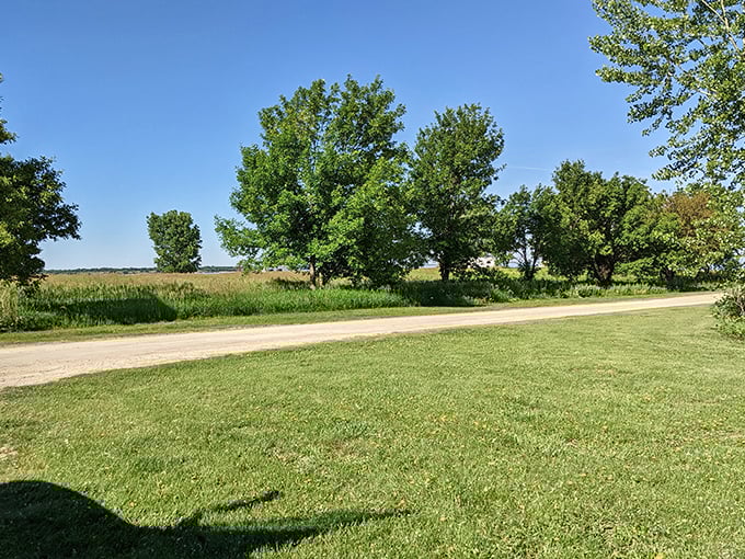 The road less traveled often leads to the best views. This quiet path promises adventures without requiring a passport.