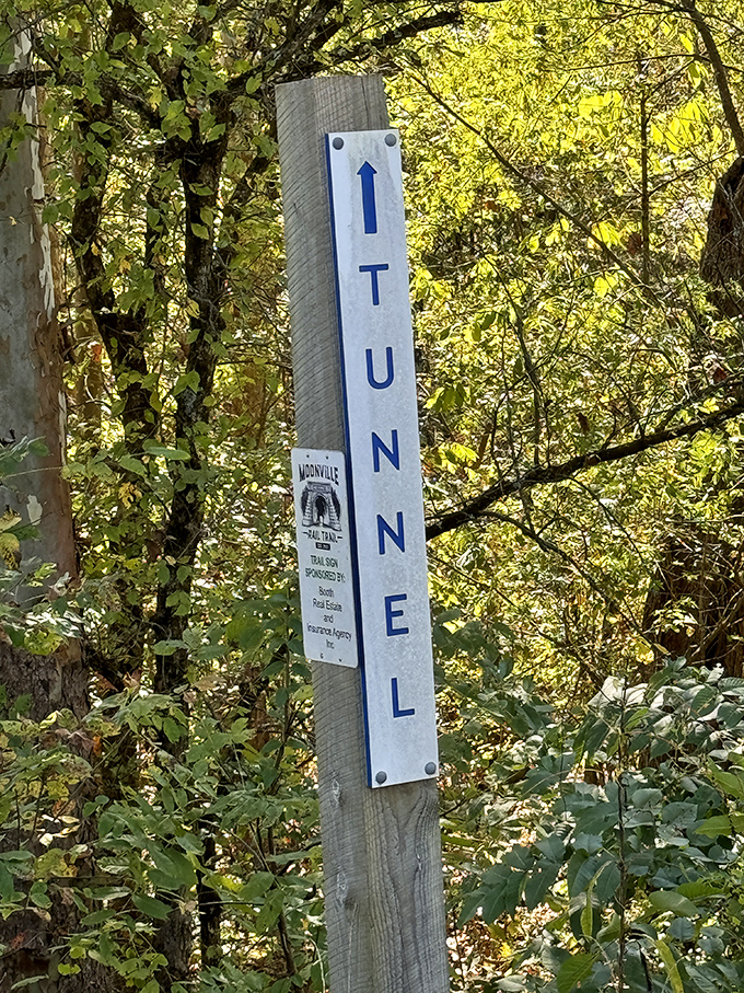 Follow the arrow to adventure! This helpful sign ensures you won't miss the tunnel&mdash;because getting lost in ghost-hunting territory would be an ironic twist.