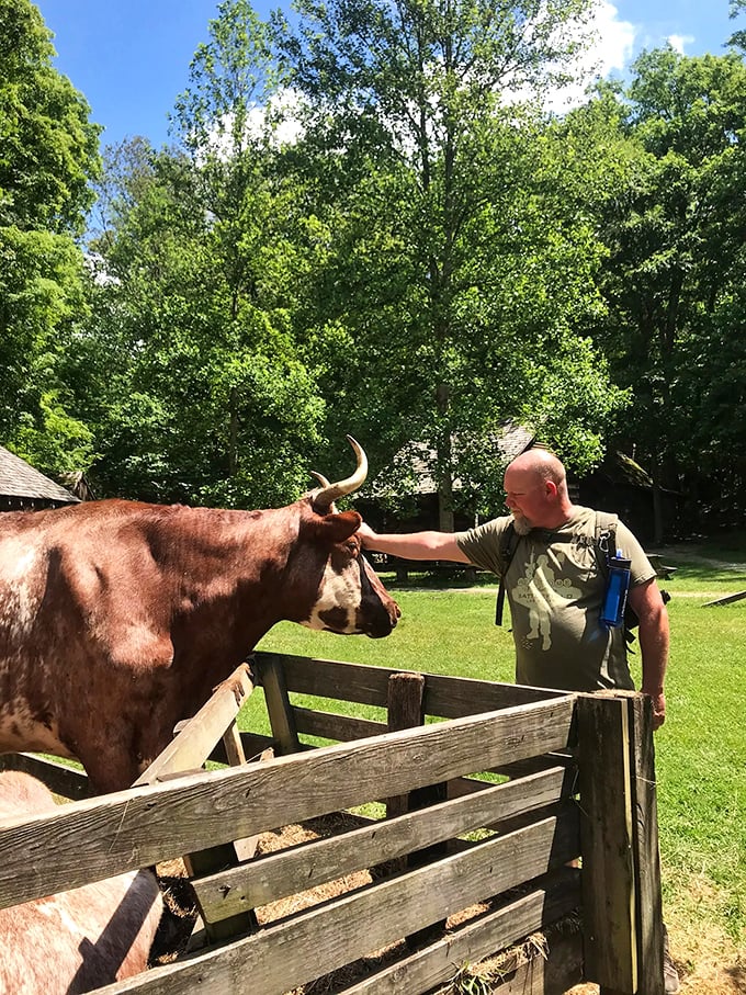 Sometimes the most memorable wildlife encounters happen with the farm residents, who patiently educate visitors about pioneer life.