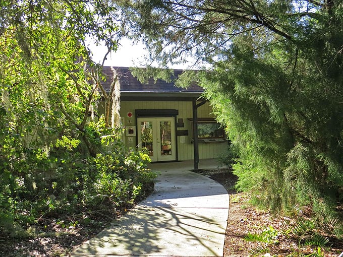 The nature center emerges from native foliage like a woodland secret, promising air conditioning and fascinating scrub-jay facts.