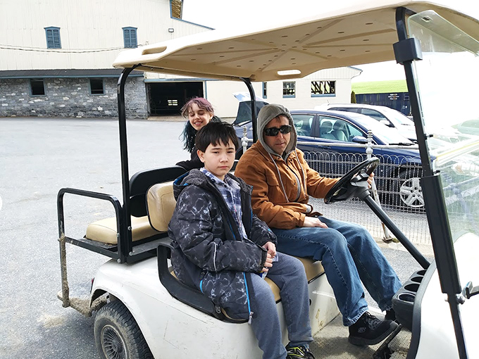 The farm's golf cart tours offer the perfect blend of transportation and entertainment, with views that no luxury vehicle could improve upon.