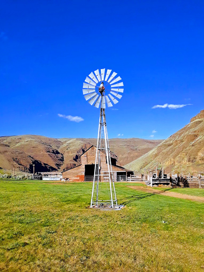 Against canyon walls that have witnessed millennia, this windmill stands as a sentinel of more recent history, spinning stories of ranching days. 