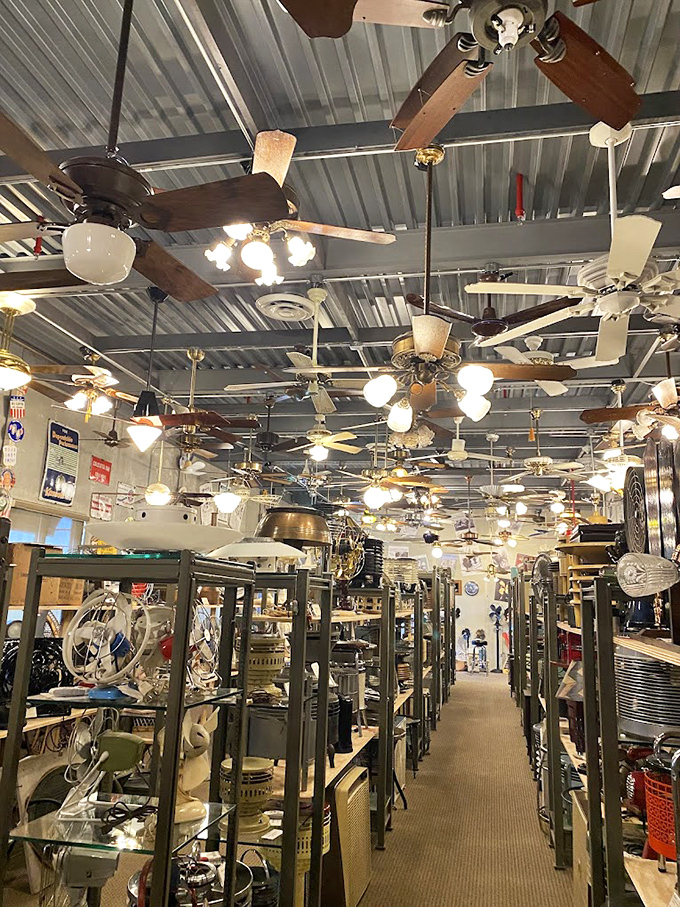 The AFCA Antique Fan Museum displays hundreds of ceiling fans in what might be America's most unexpectedly mesmerizing collection.