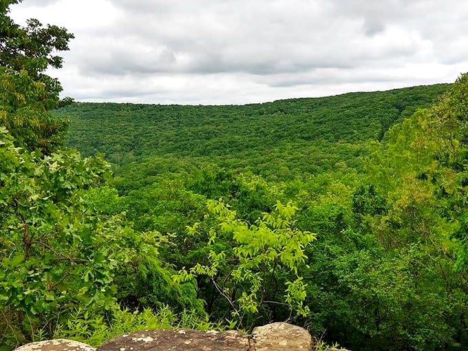 Layers of green unfold like nature's quilt across the valley&mdash;a view that reminds you why they call Arkansas "The Natural State."