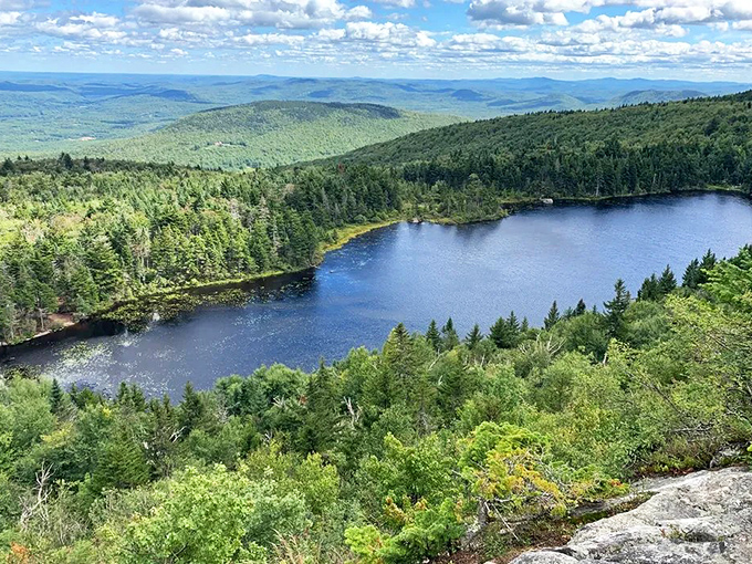 The bird's-eye reward after a challenging hike: a sapphire lake nestled in emerald forest. Worth every drop of sweat and every mosquito bite.