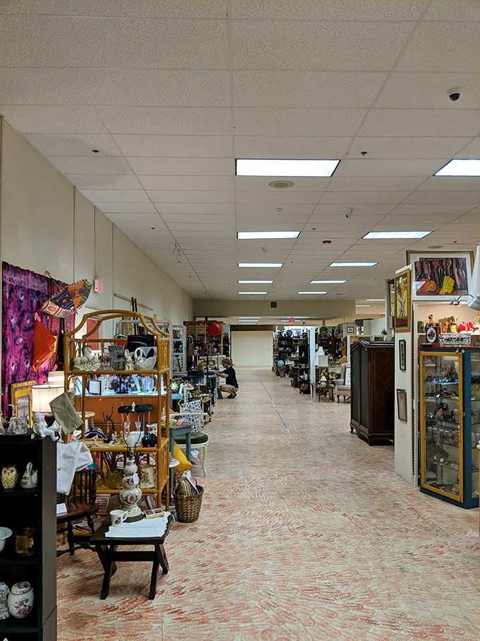 The perspective that makes antique hunters' hearts race&mdash;endless aisles of possibility stretching toward the horizon like a vintage version of "Field of Dreams."