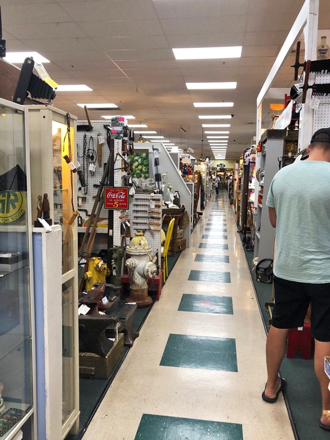 Aisles that stretch toward possibility, where that perfect something you didn't know you needed waits patiently for your discovery.