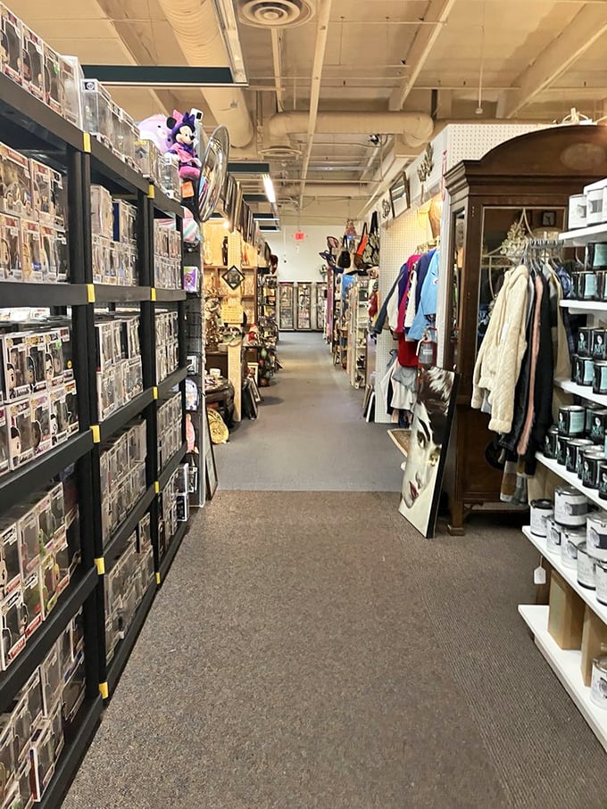 Vintage lunch boxes and collectible figures &ndash; where childhood nostalgia meets adult collecting obsessions in colorful harmony. 