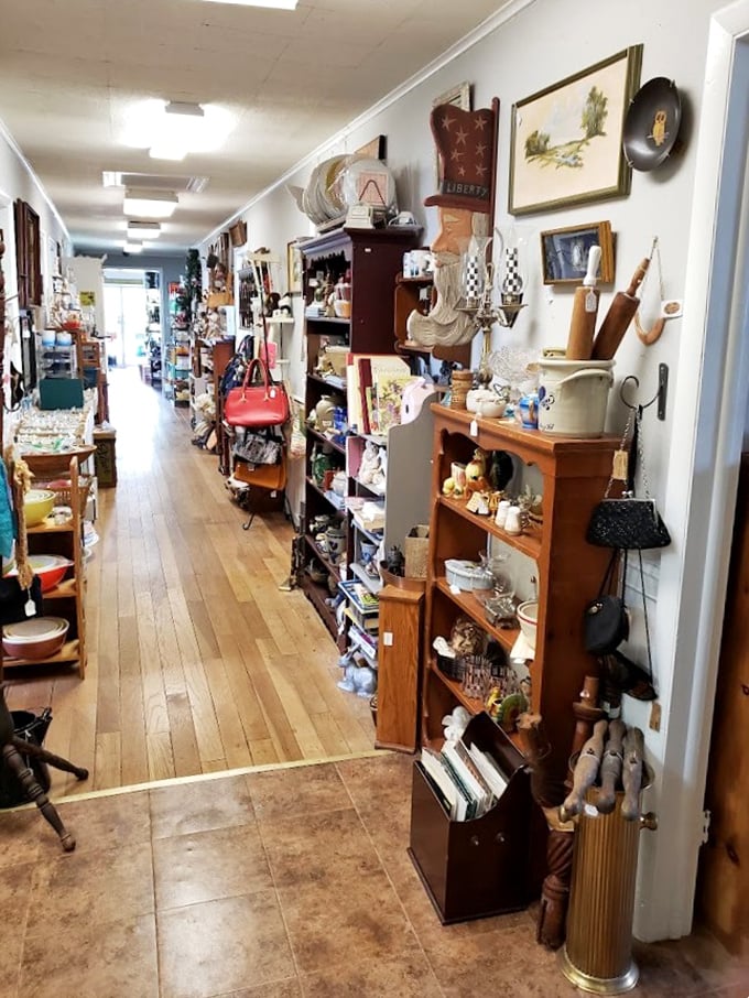 Wooden floors that creak with secrets as you wander aisles where other people's pasts become your future conversation pieces.