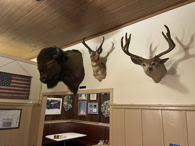 The mounted trophies watching over diners aren't just decoration; they're a reminder that you're in ranching country, where the connection between land and table remains strong.